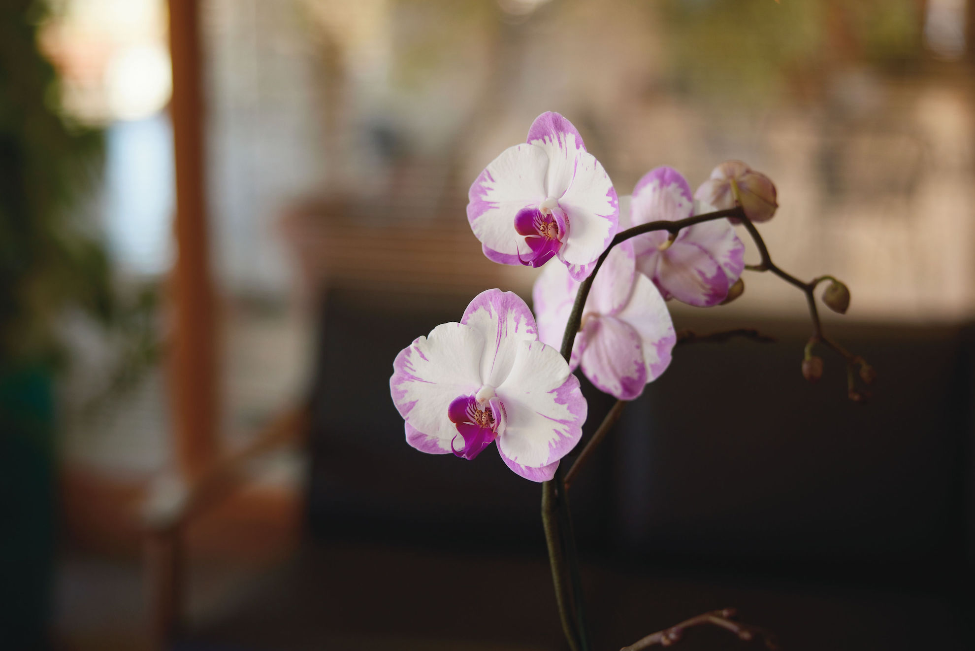 Exhibitions - Powell Gardens