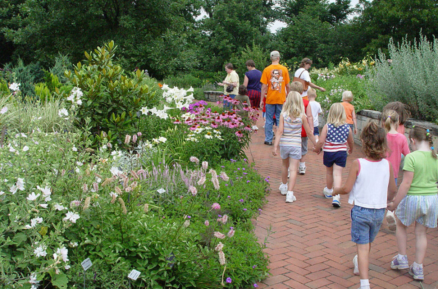 Exhibitions - Powell Gardens