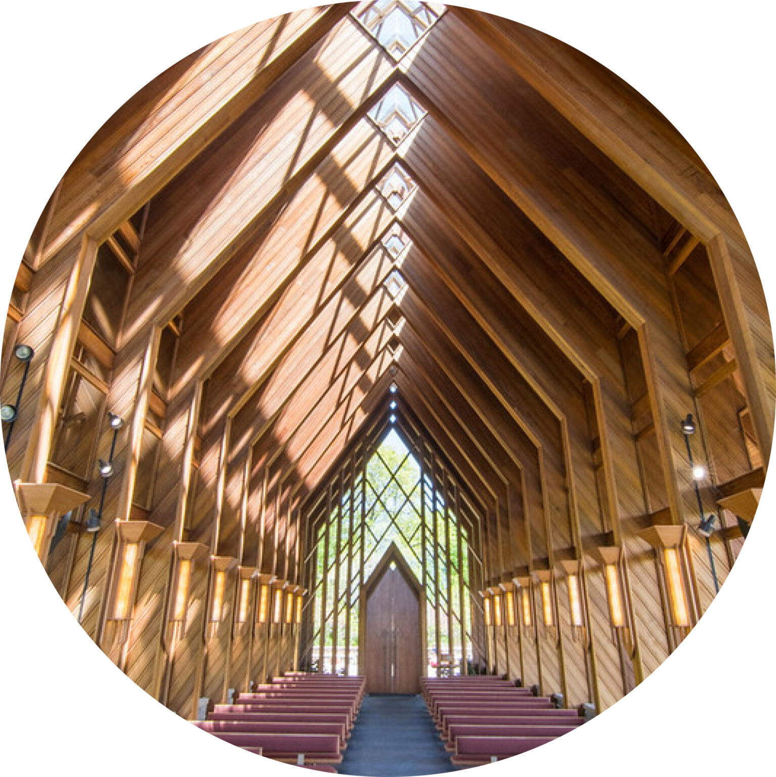 Festival of Lights - Powell Gardens