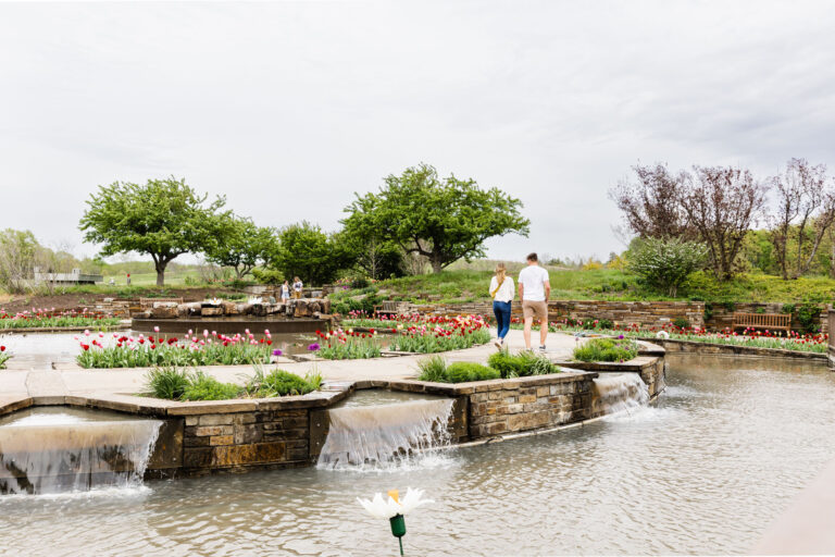 Adult Programs - Powell Gardens