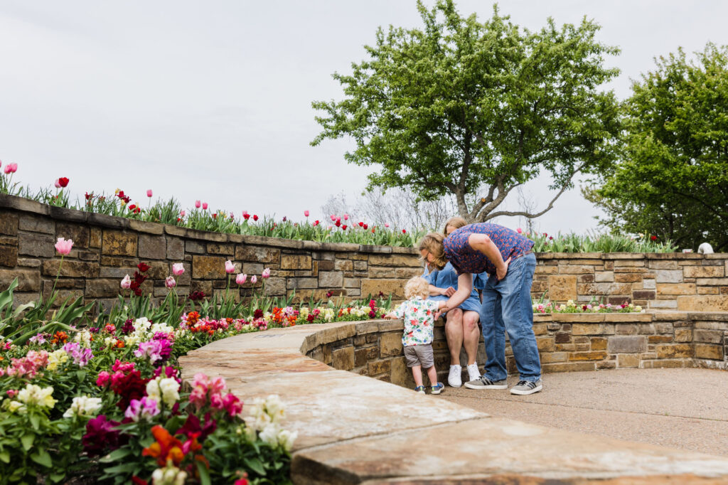 The Gardens - Powell Gardens