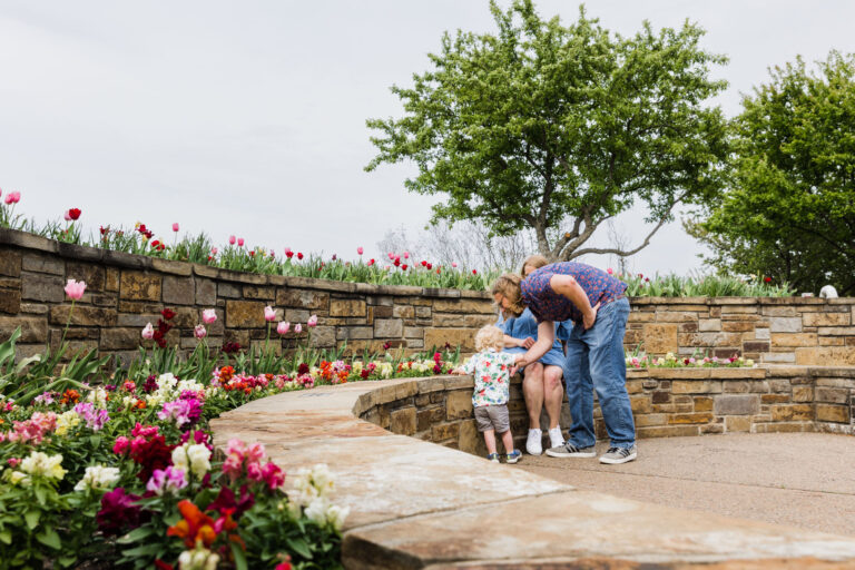 The Gardens - Powell Gardens