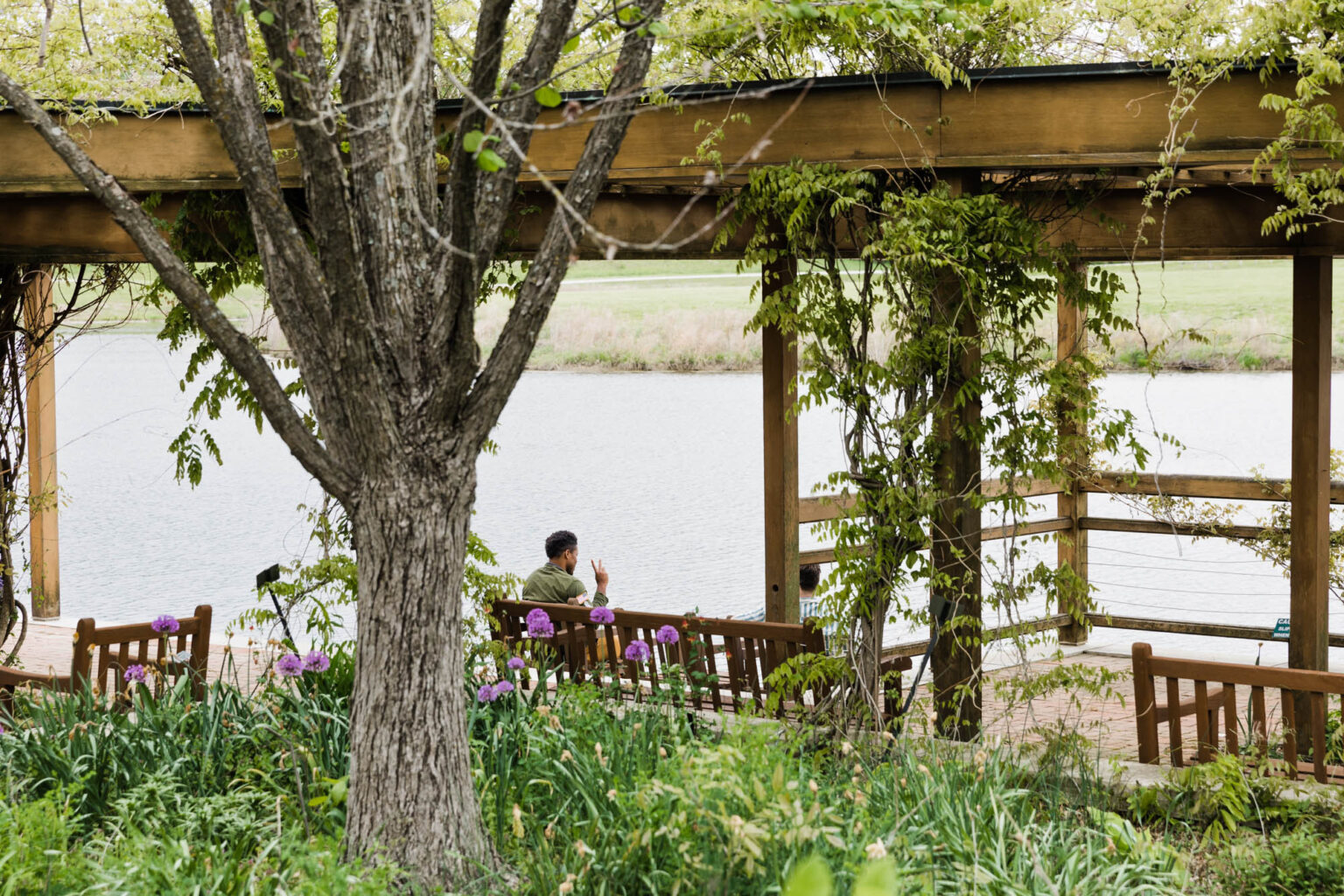 The Gardens - Powell Gardens