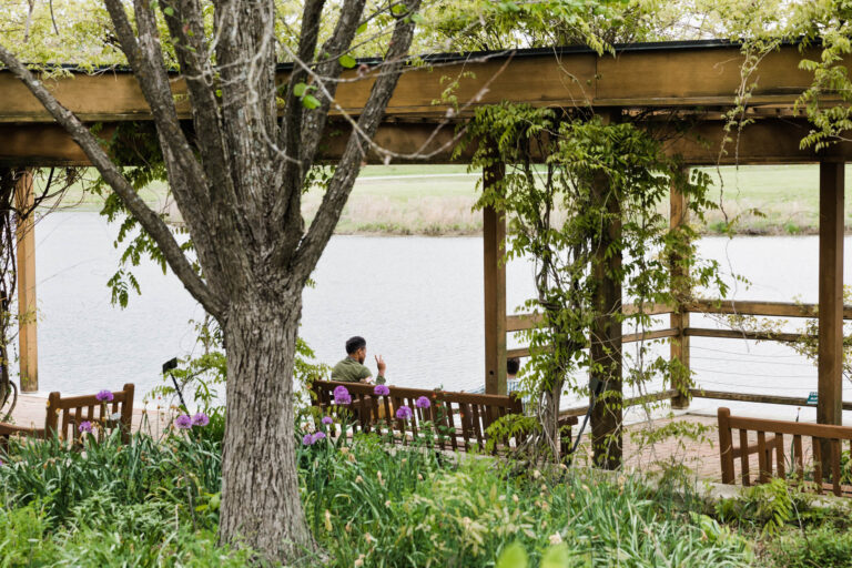 The Gardens - Powell Gardens