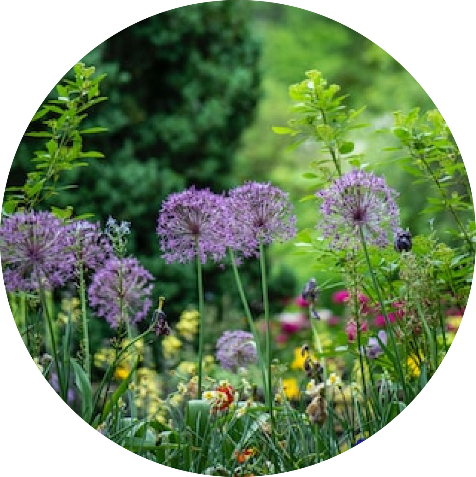 Know Before You Go - Powell Gardens