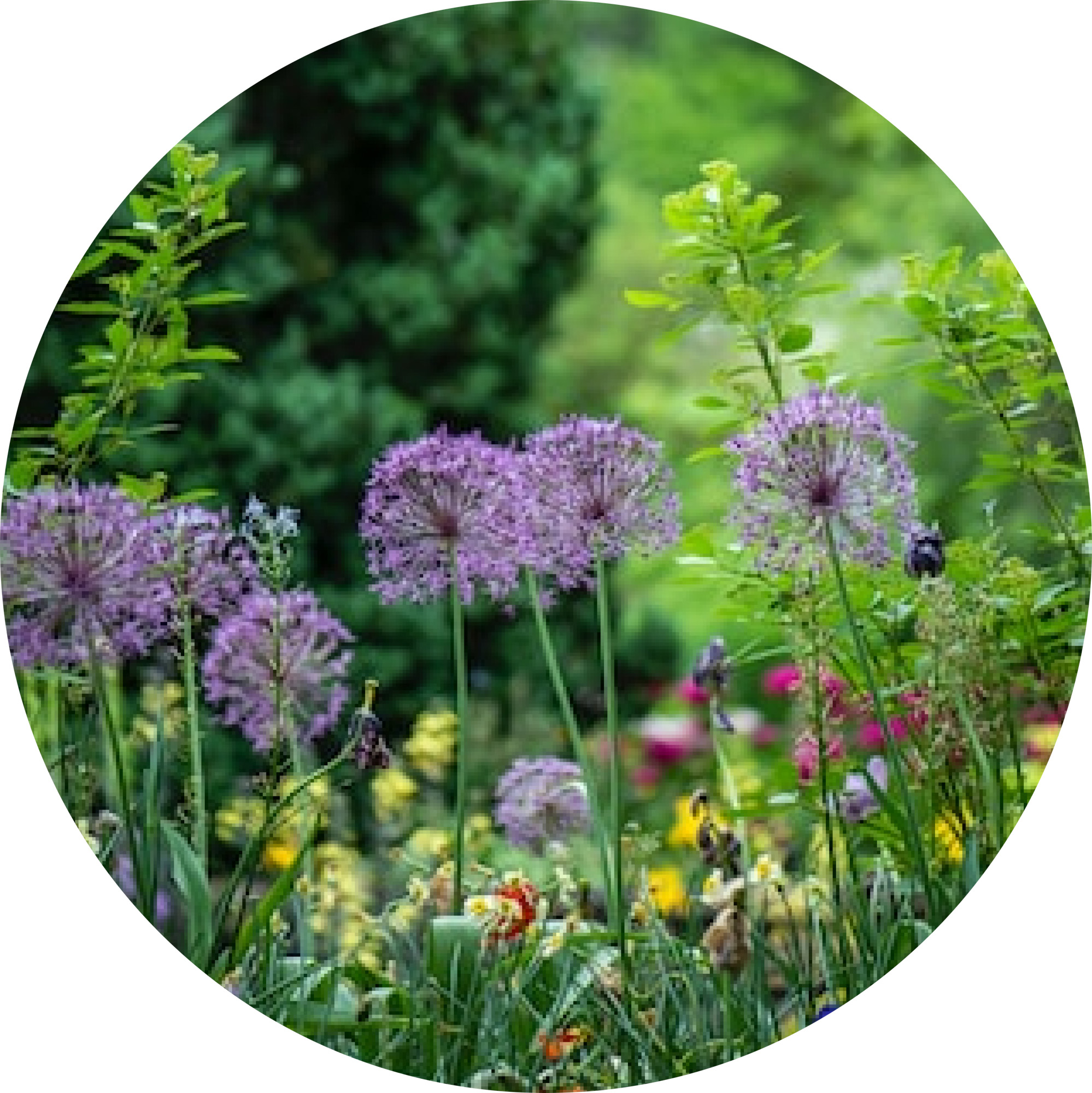 Hours & Admission - Powell Gardens