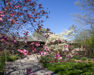 The Gardens - Powell Gardens