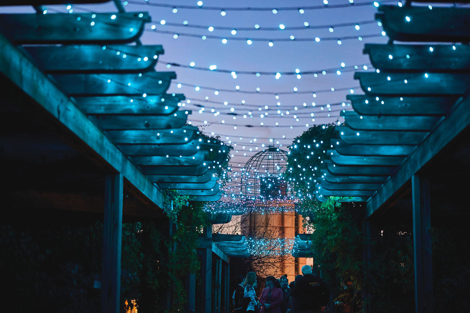 Exhibitions - Powell Gardens
