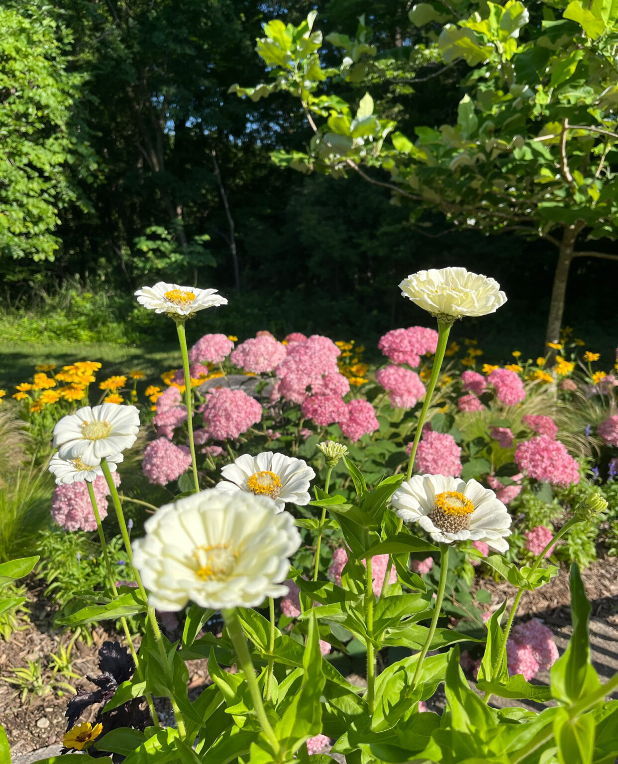 Private Events - Powell Gardens