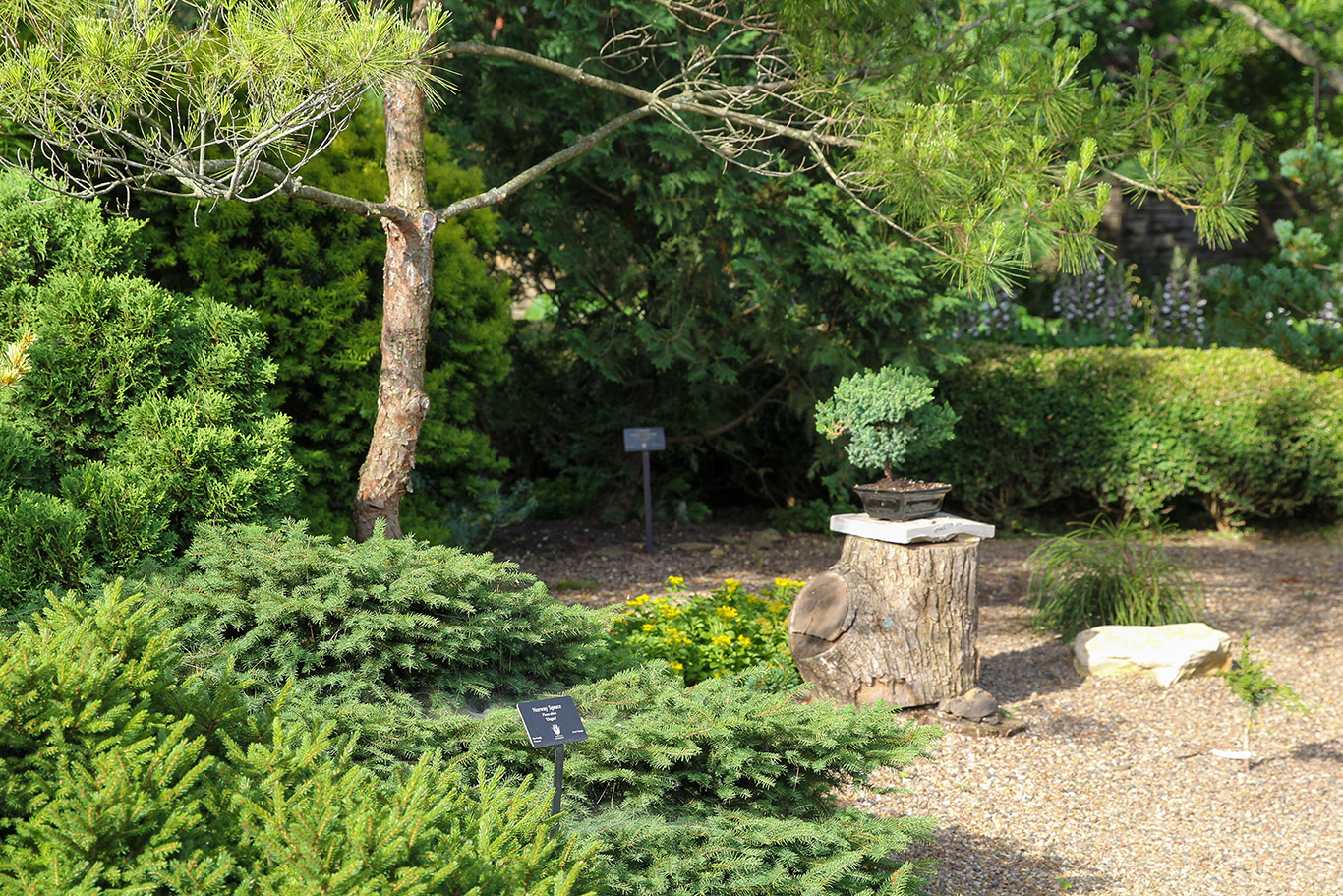 Visitor Center - Powell Gardens