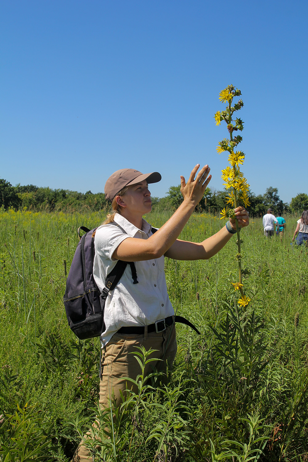 Conservation - Powell Gardens