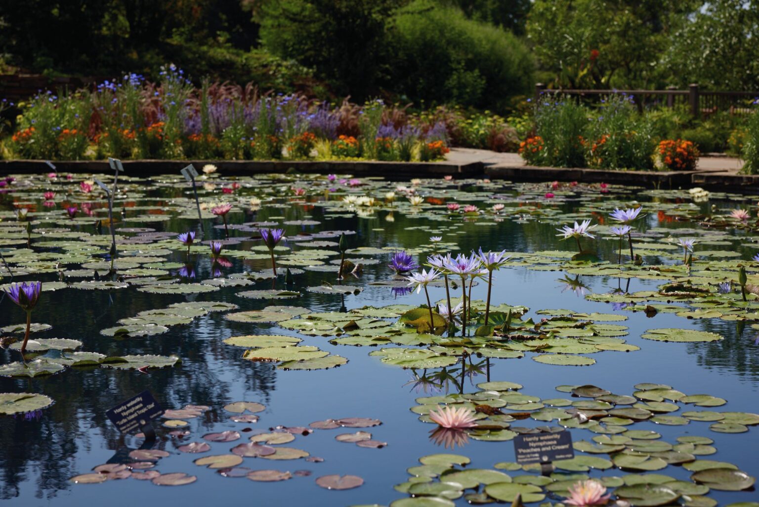 Powell Gardens | Enjoy the Spirit of the Midwest in Kansas City