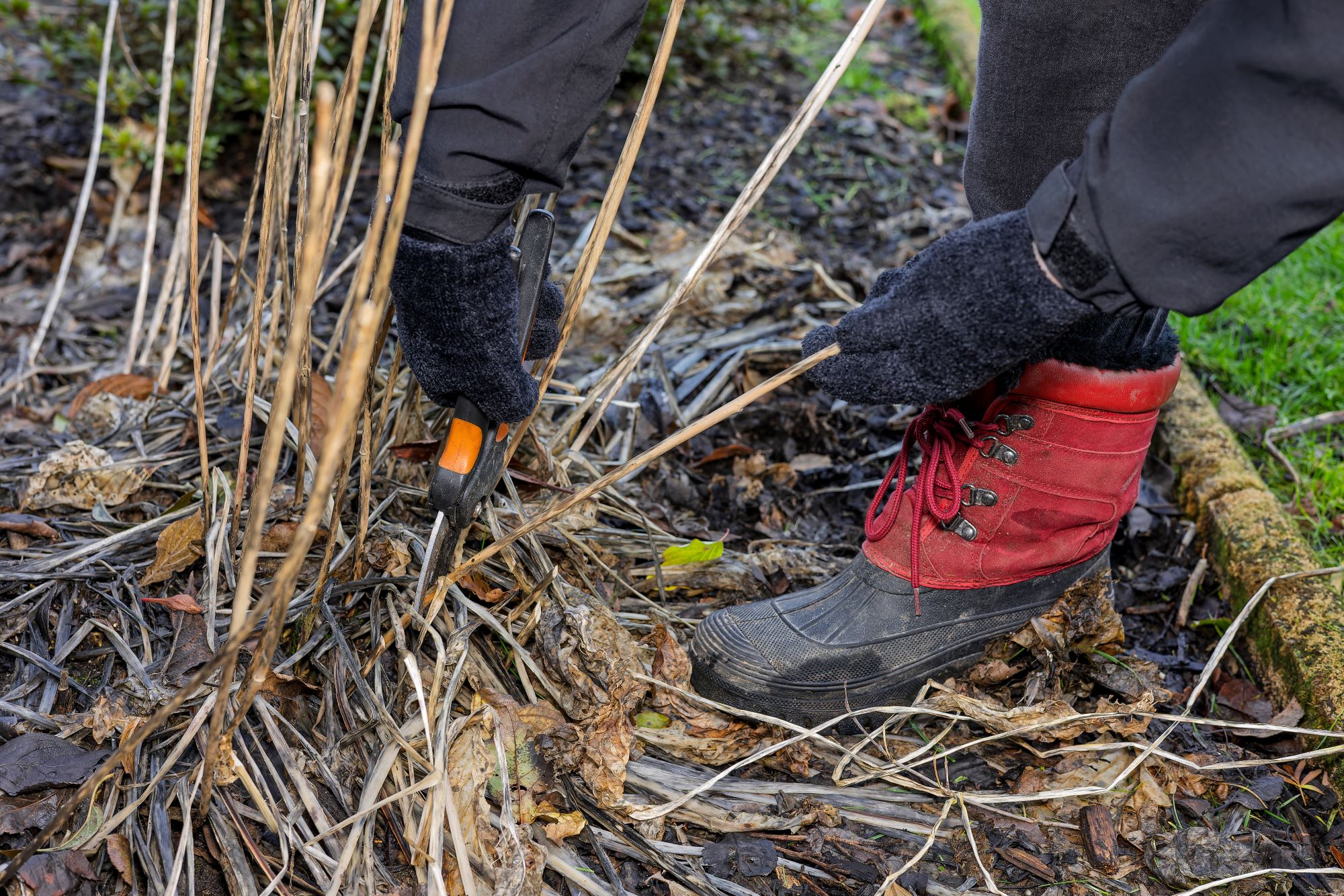Winter Gardening Activities & Crafts - Powell Gardens