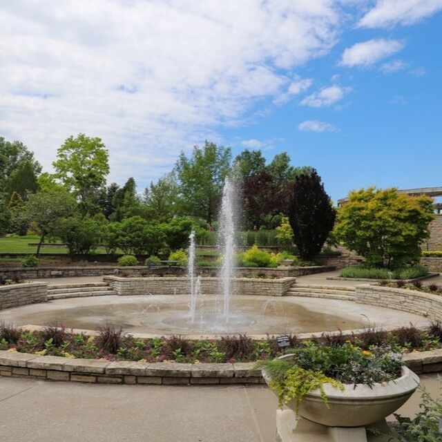 Plants Archive - Powell Gardens